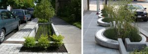 stormwater management Archives - Tata & Howard