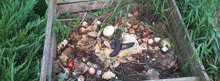 10 Tips for a Low-Maintenance, Eco-Friendly Backyard - Tata & Howard