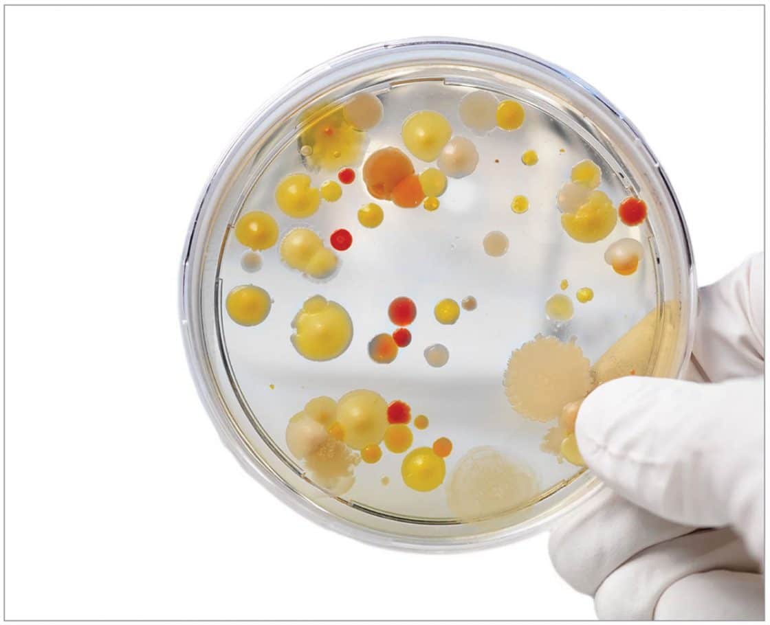 wastewater treatment Archives - Tata & Howard